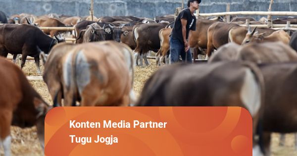 Jumlah Warga Gunungkidul yang Positif Antraks Bertambah Jadi 30 Orang | kumparan.com